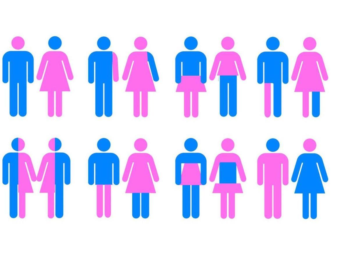 Gender Identity Understanding Various Gender Identities