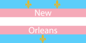 Top Trans, Queer & Gay Bars in New Orleans: Nightlife at Its Best